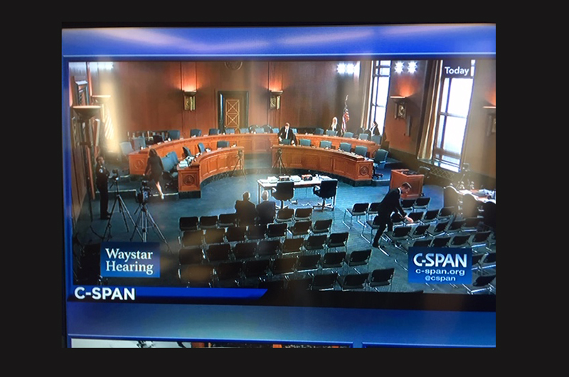 Set Decor / TV Decor Features: SUCCESSION